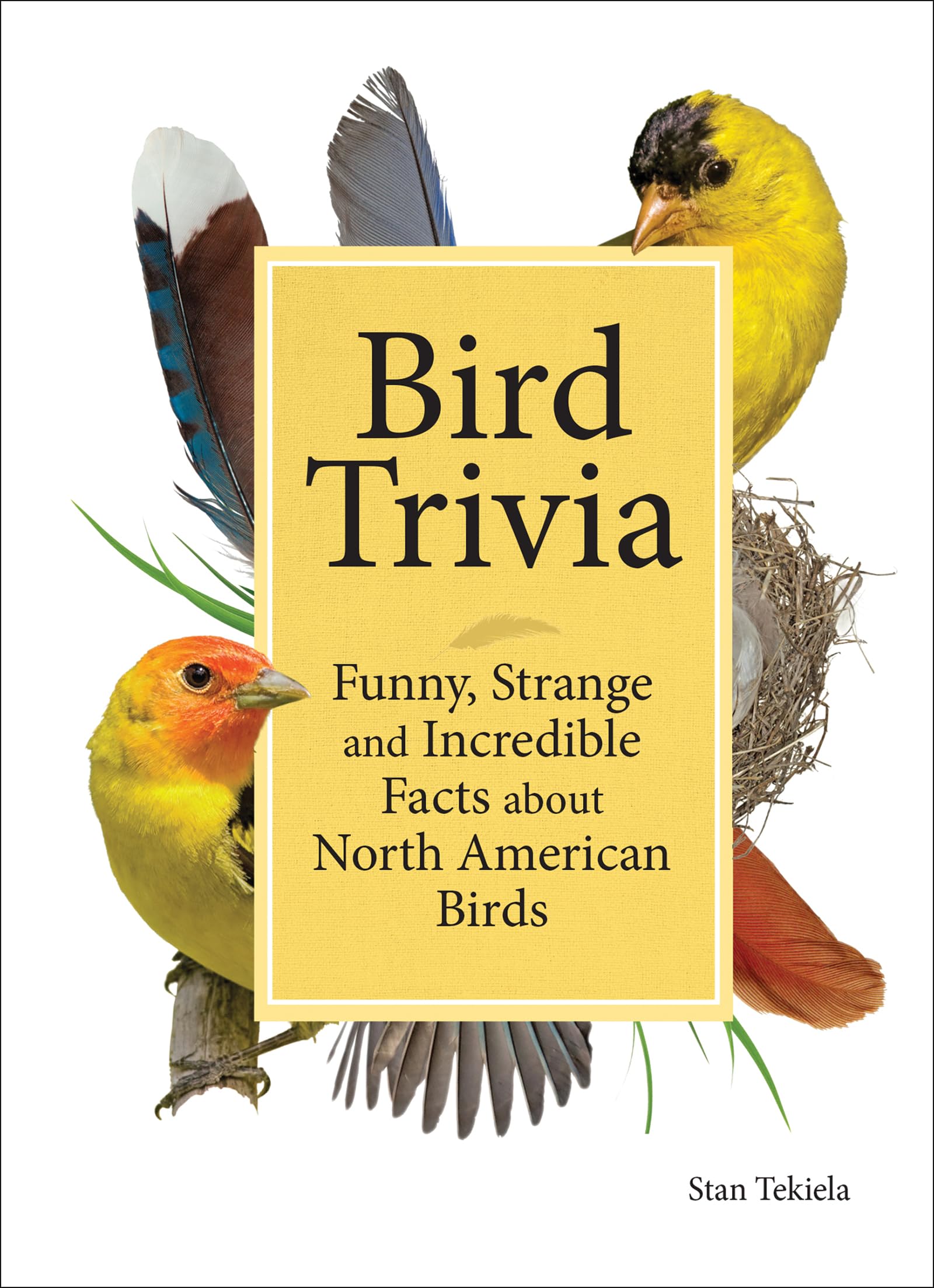 Bird Trivia: Funny, Strange and Incredible Facts about North American ...